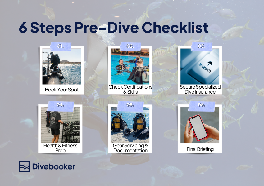 Best Places to Scuba Dive: Ultimate Month-by-Month Diving Calendar